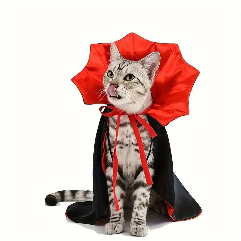Deguisement Halloween Chatonnull