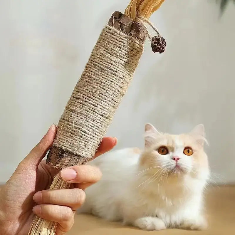 Baton Pour Chat | Orderkeen
