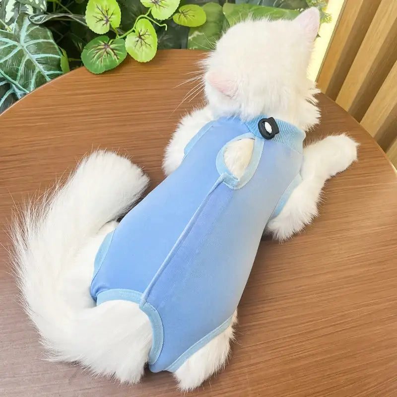 Body Chat Post Opératoire | Orderkeen