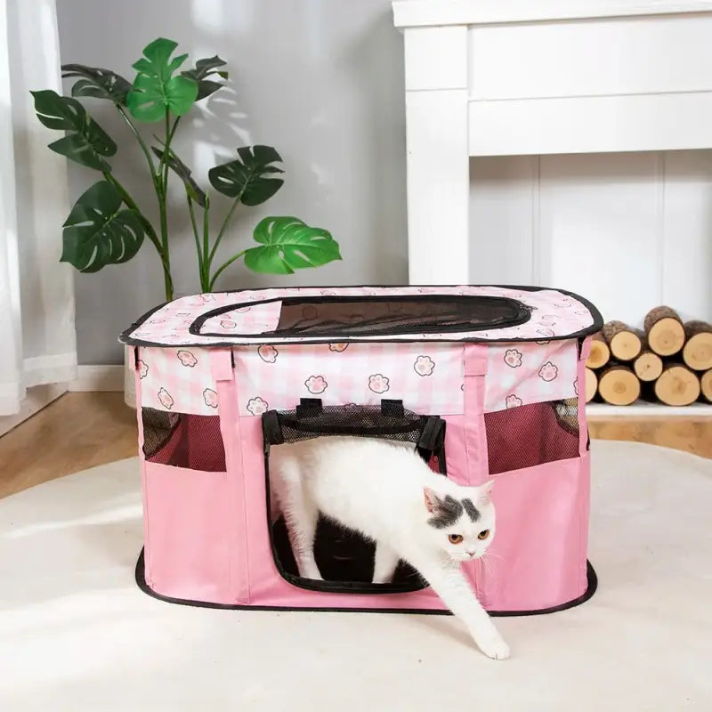 Caisse de Mise Bas Chat | Orderkeen