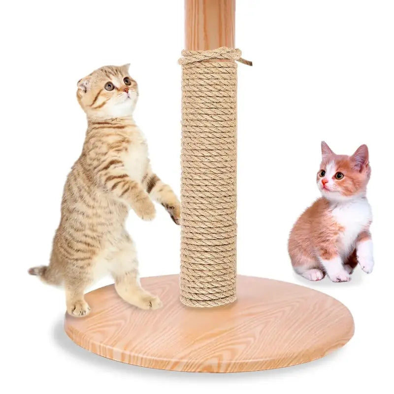 Corde Griffoir Chat | Orderkeen