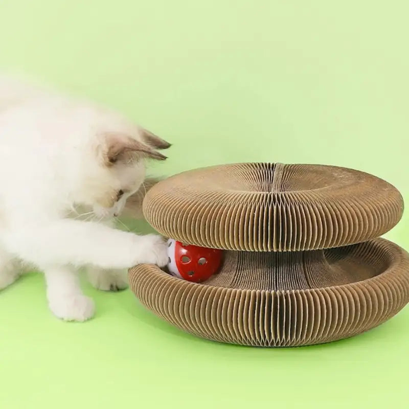 Jeux pour Chat en Carton | Orderkeen