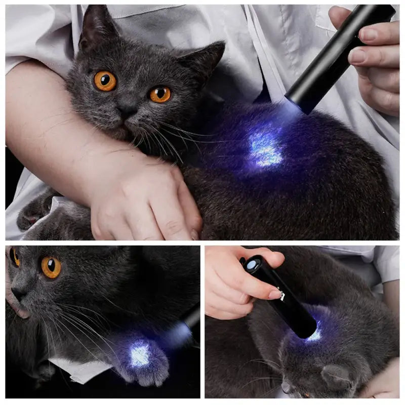 Lampe de Wood Chat Teigne | Orderkeen