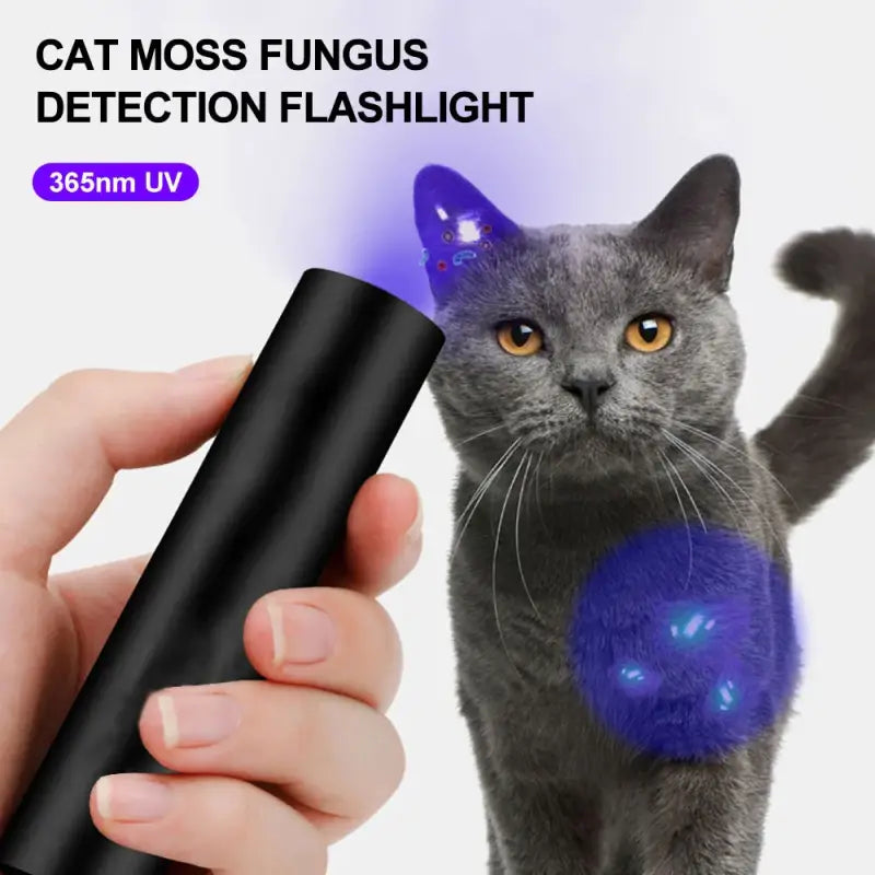 Lampe de Wood Chat Teigne | Orderkeen
