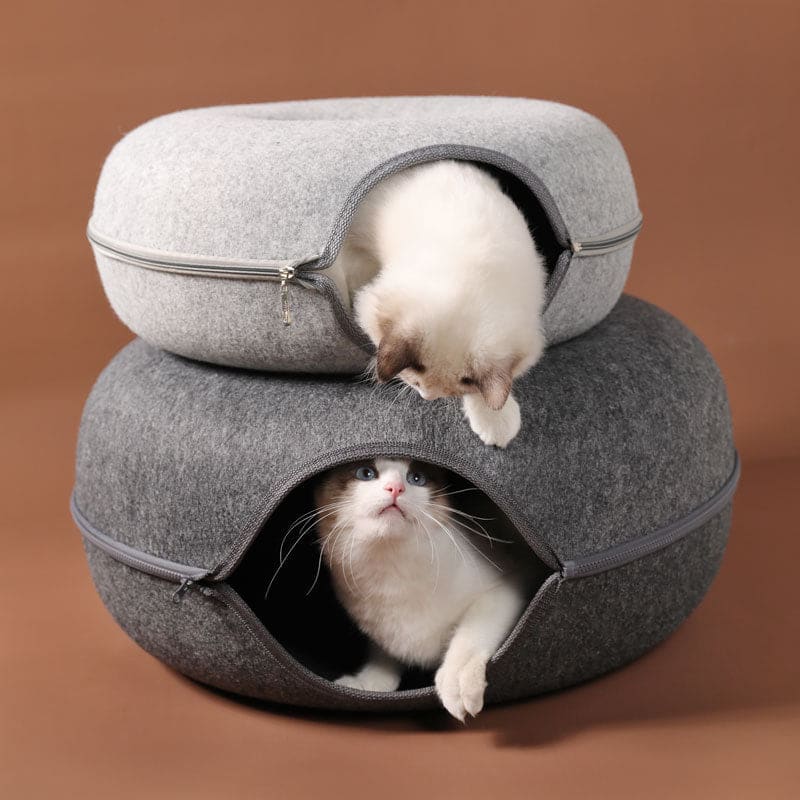 Maison Donut Chat | Orderkeen