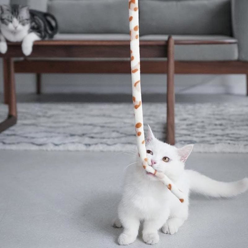 RODKAT™ Cat Fishing Rod | Orderkeen