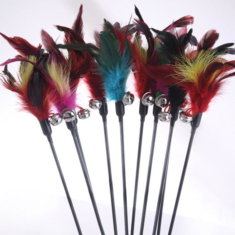 Feather cane Cat | Orderkeen