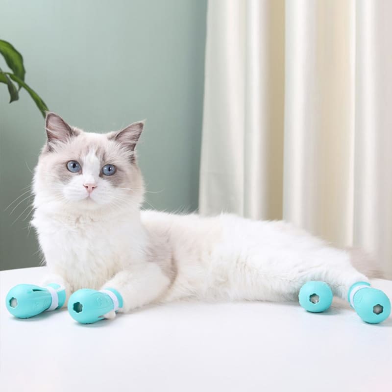 Anti-scratch silicone cat slippers | Orderkeen