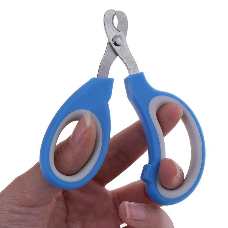 Claw Clippers Scissors Cat | Orderkeen