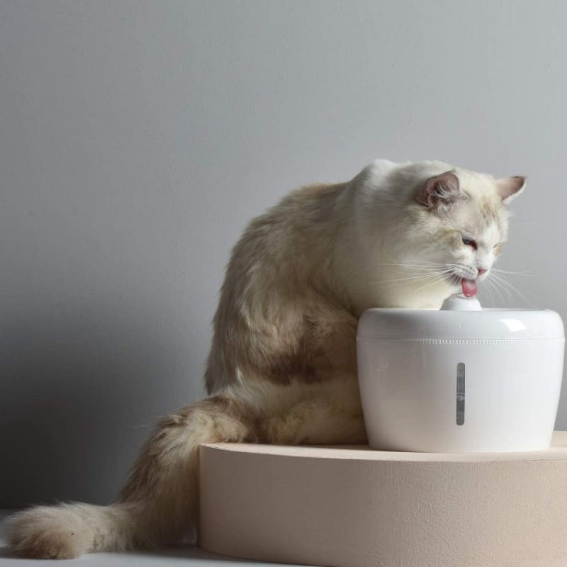 Automatic Cat Water Fountain 2.5L | Orderkeen