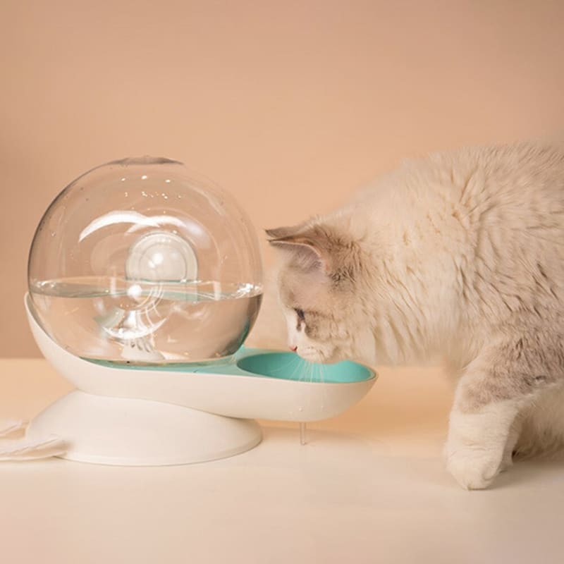 Snail design water fountain for cats | Orderkeen