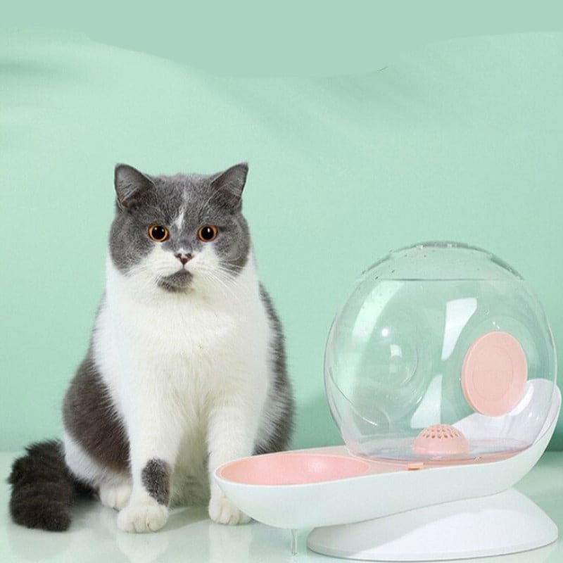 Snail design water fountain for cats | Orderkeen