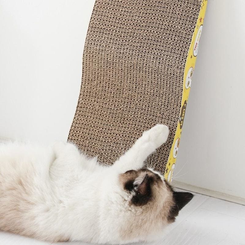Griffoir Petit Chat | Orderkeen