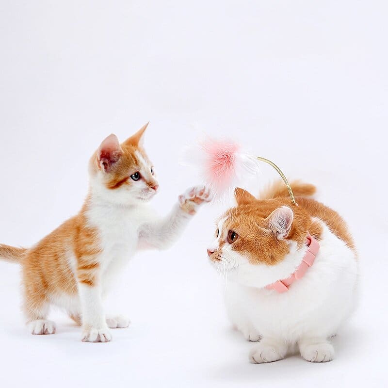 Hands Free Collar Wand Toy for Cat | Orderkeen