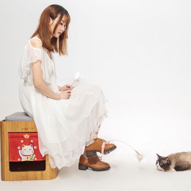 Hands Free Collar Wand Toy for Cat | Orderkeen