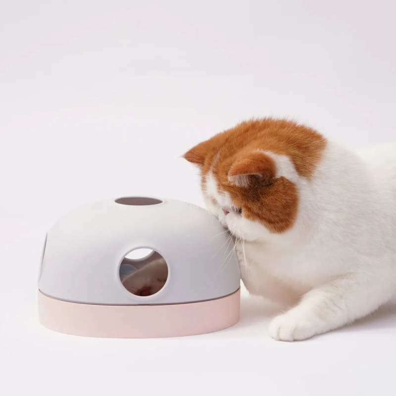 Jouet dôme interactif 3 en 1 pour chat | Orderkeen