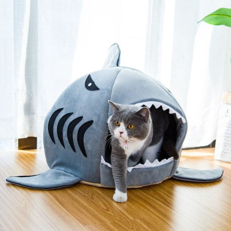 Niche Chat Requin | Orderkeen
